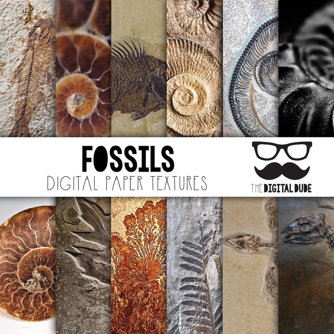 Fossils, Premium Digital Paper, Printable Scrapbook Paper Set, Fossils ...