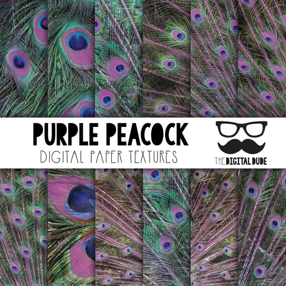 Purple Peacock Feathers Premium Digital Paper Printable - Etsy