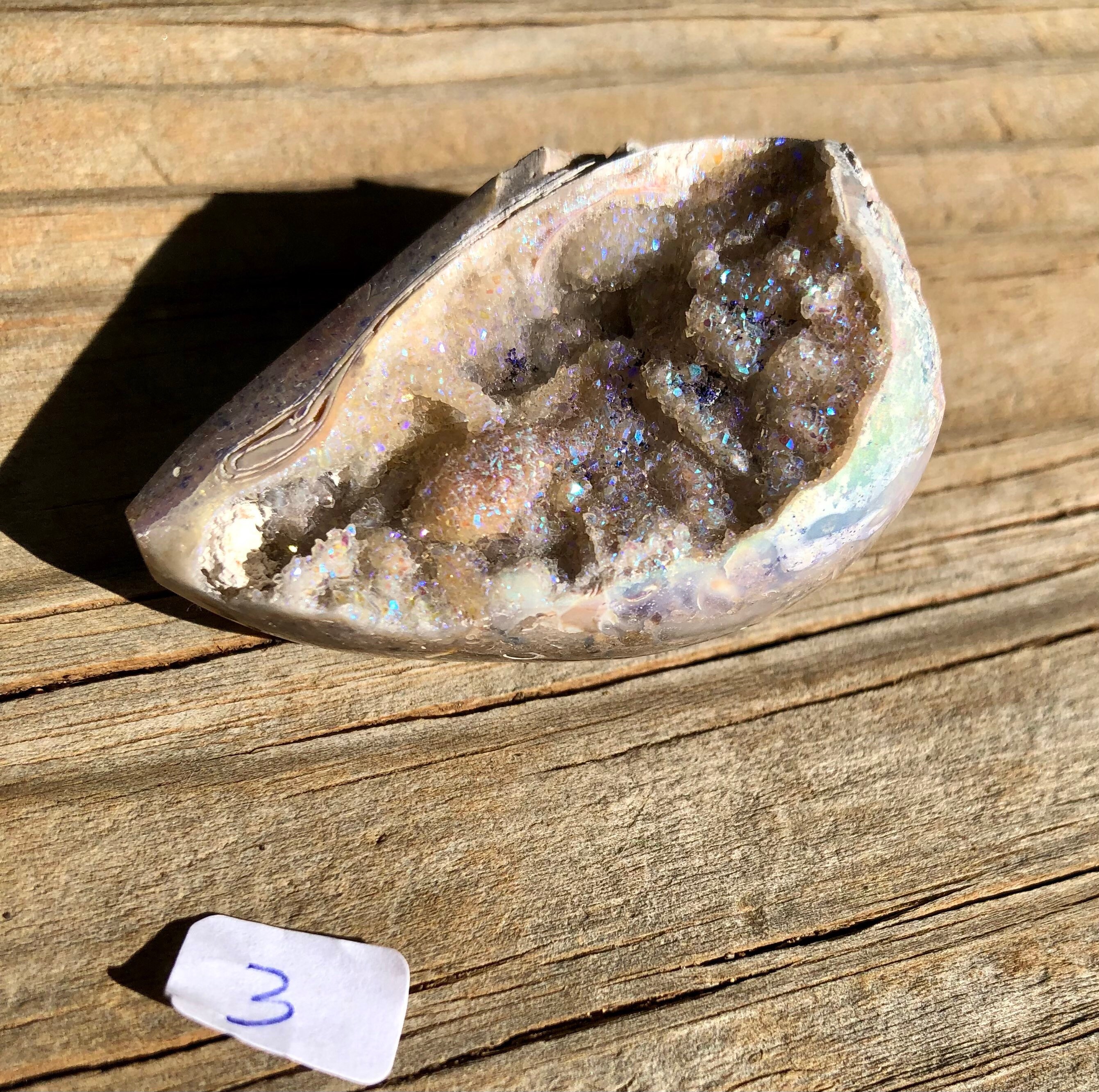 Opal Aura Fossil Shell from India - Etsy.de