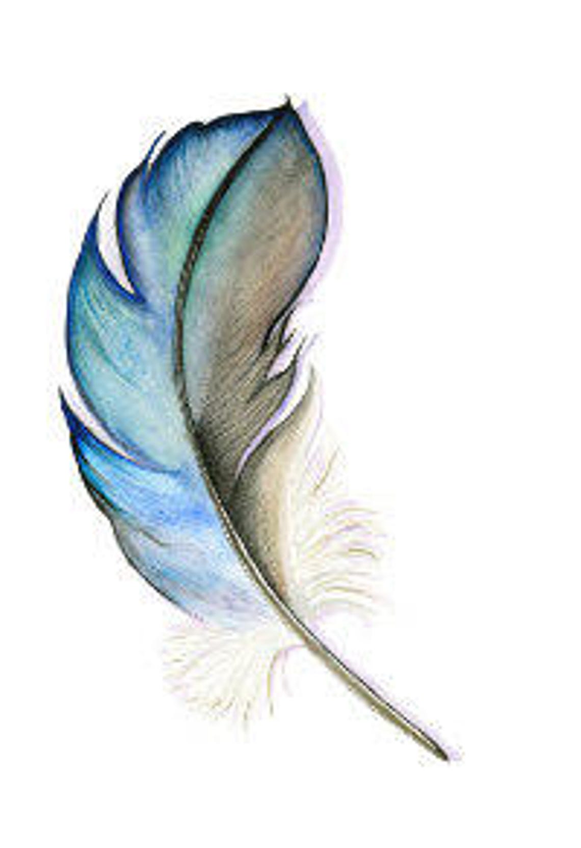 La pluma Ilustración Color del agua IMPRIMIR A3 - Etsy España