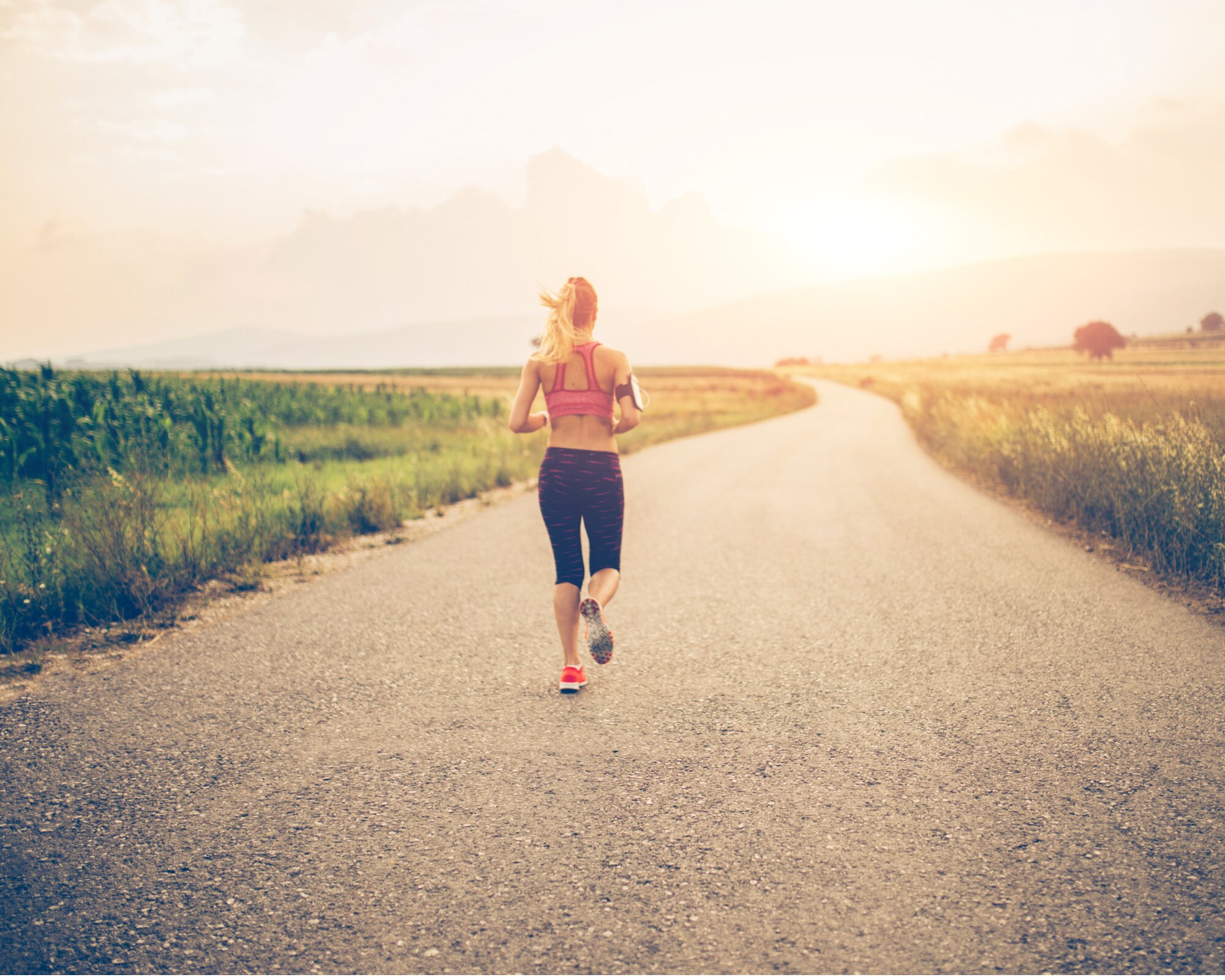 Half Marathon Plan for Intermediate Runners | Printable Download Half ...
