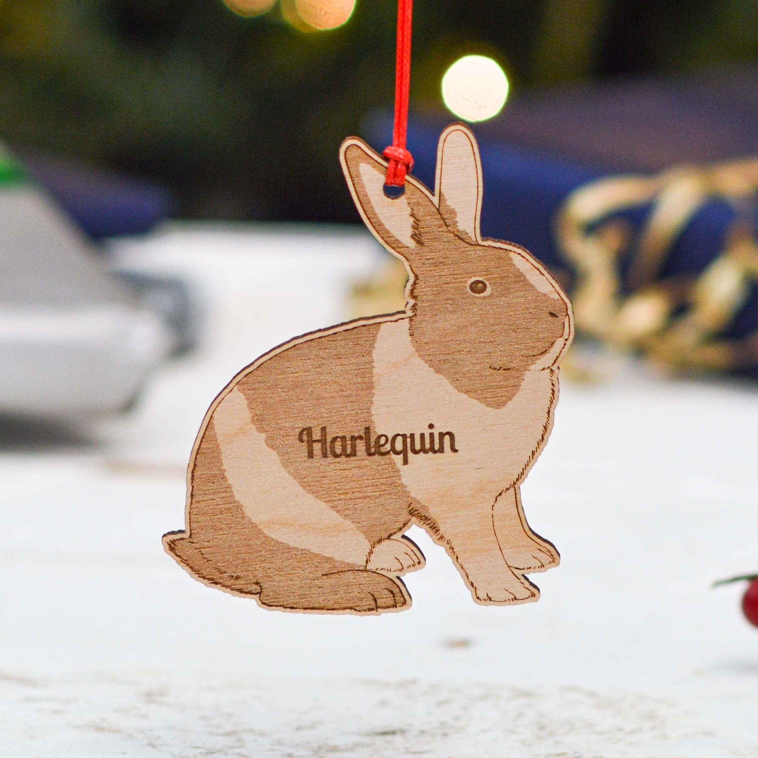 Harlequin Lionhead Rabbit