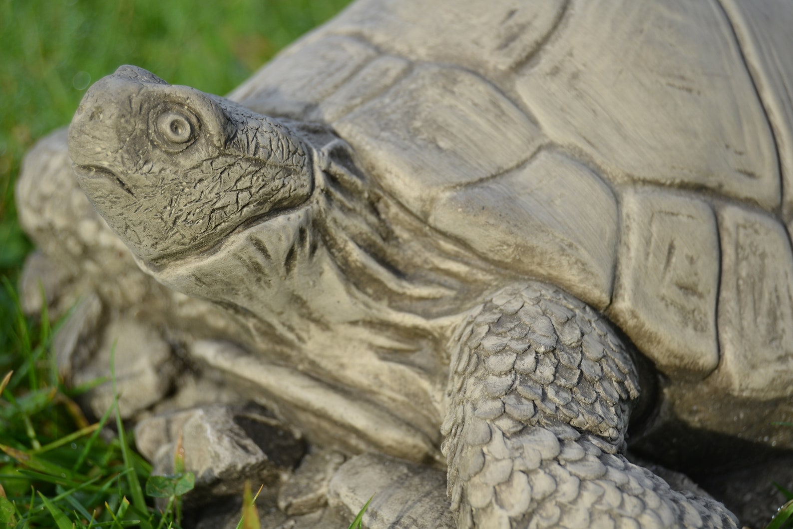 Timmy - the Tortoise Stone Garden Ornament - Etsy UK
