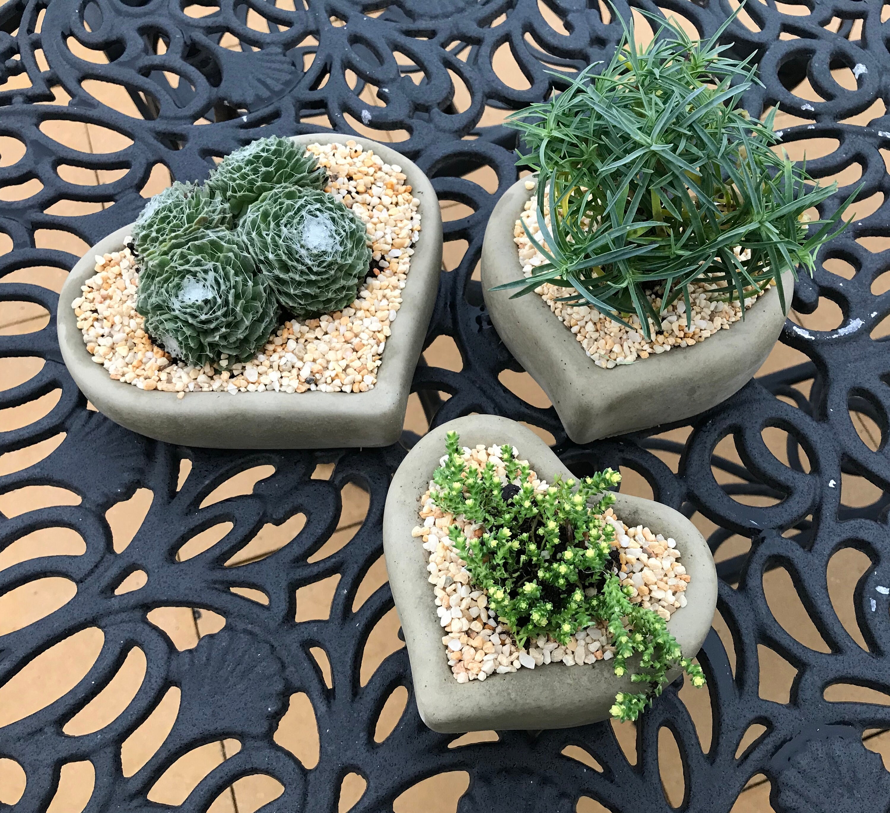 Heart Shaped Planters Set of 3 Stone Planters - Etsy