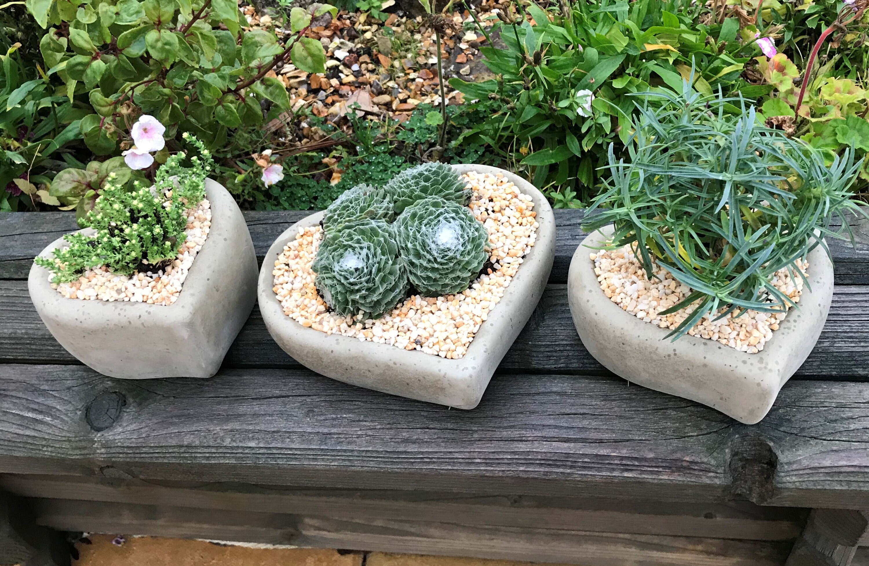Heart Shaped Planters Set of 3 Stone Planters - Etsy
