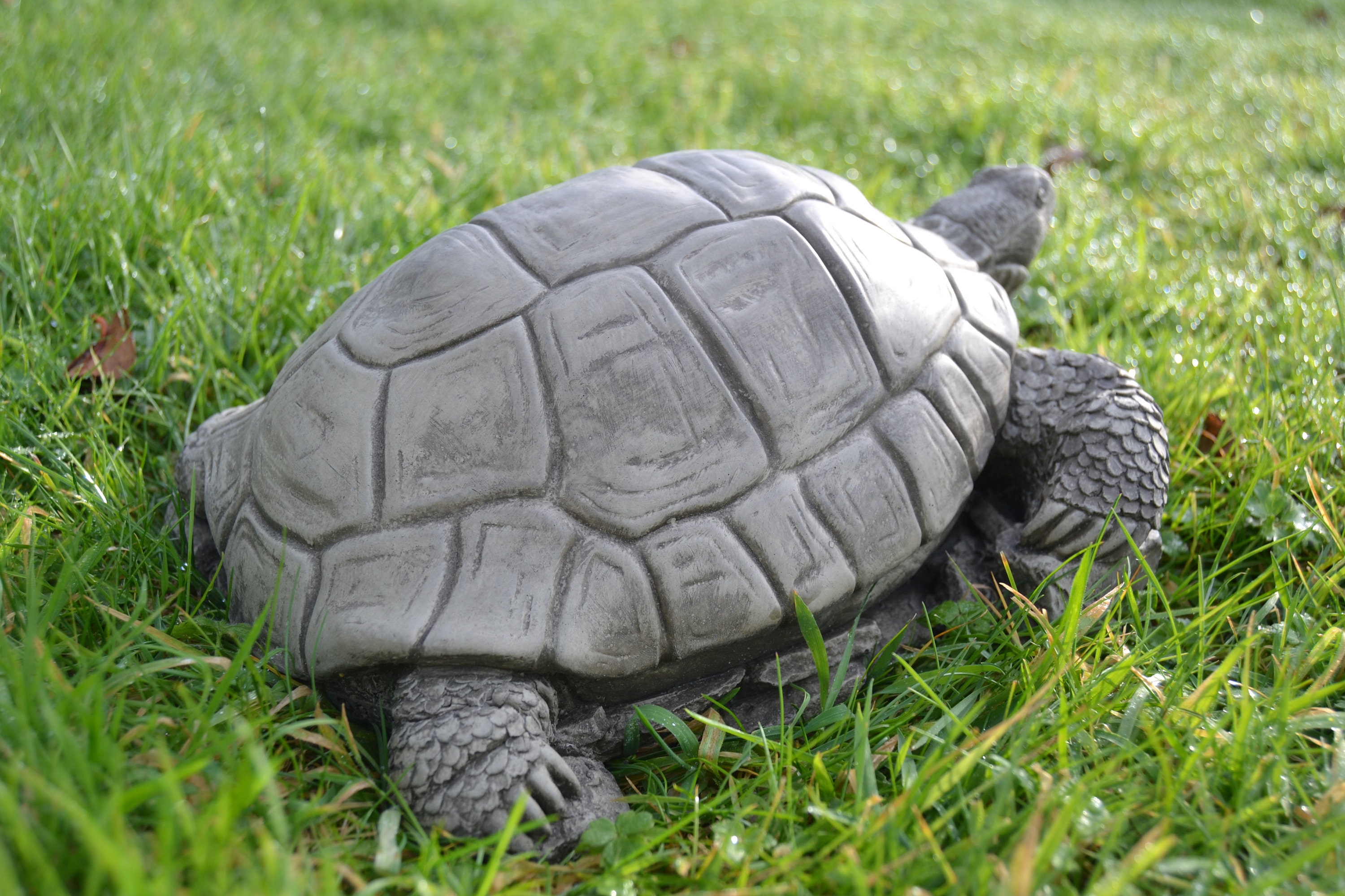 Timmy - the Tortoise Stone Garden Ornament - Etsy UK