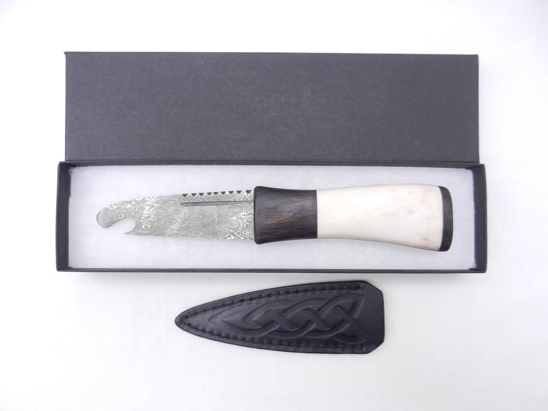 Damascus Steel Sgian Brew in Red Deer Stag Antler and African Blackwood ...