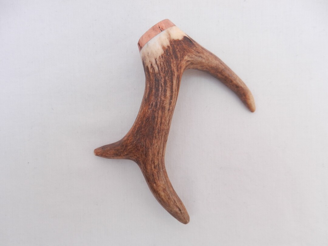 Kilt Pin in Roe Deer Buck Antler and Burr Wych Elm Sapwood, Scottish ...