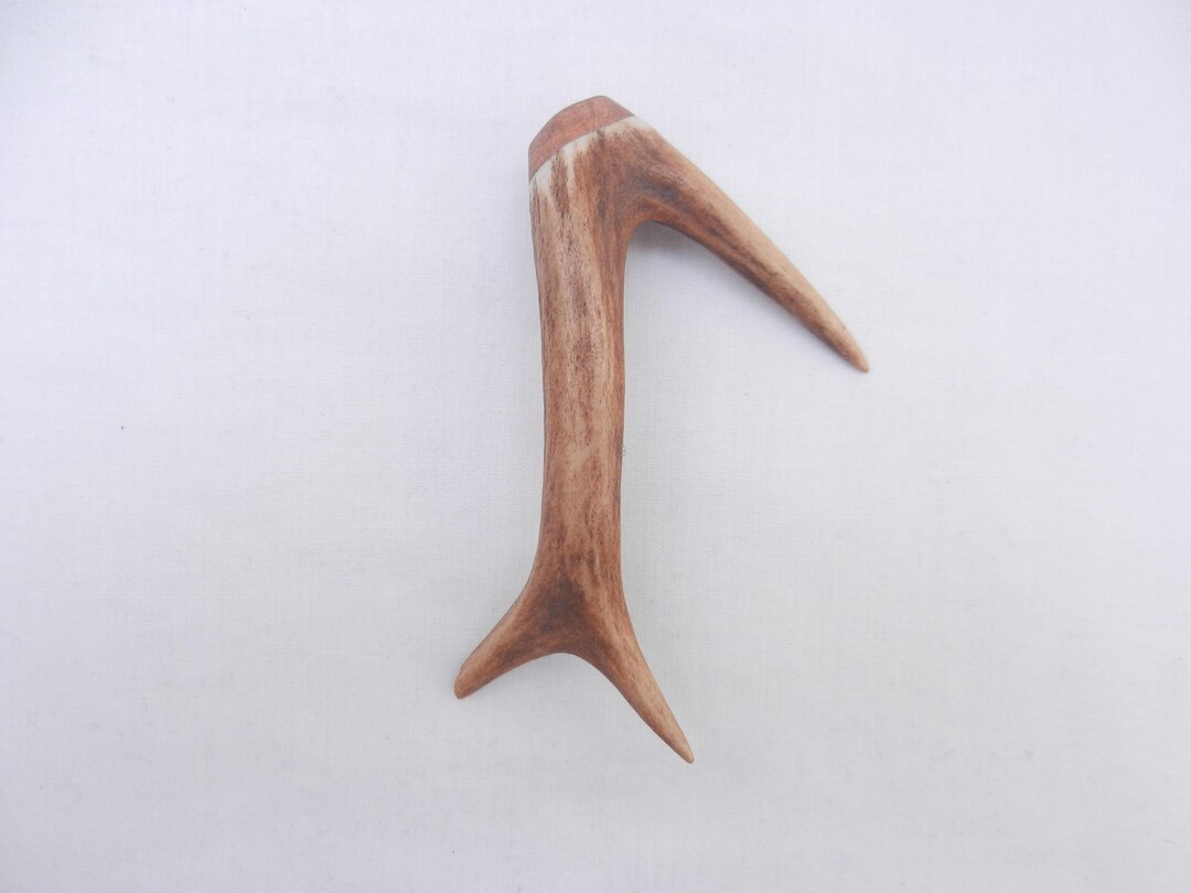 Scottish Roe Deer Antler Kilt Pin With Burr Wych Elm - Etsy