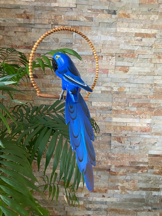 Norwegian Blue Parrot