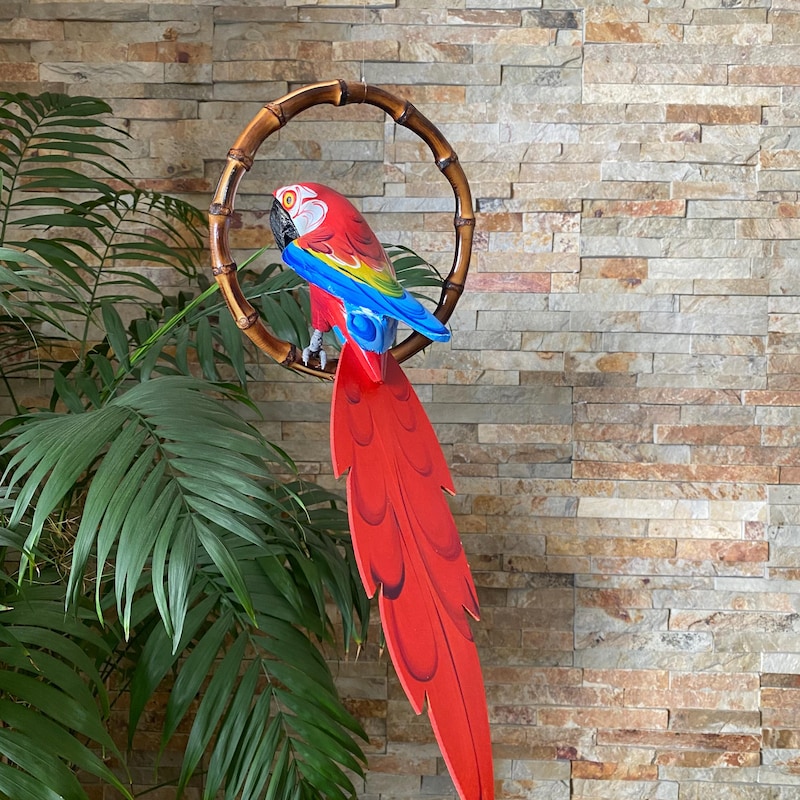 Parrot Decor - Etsy