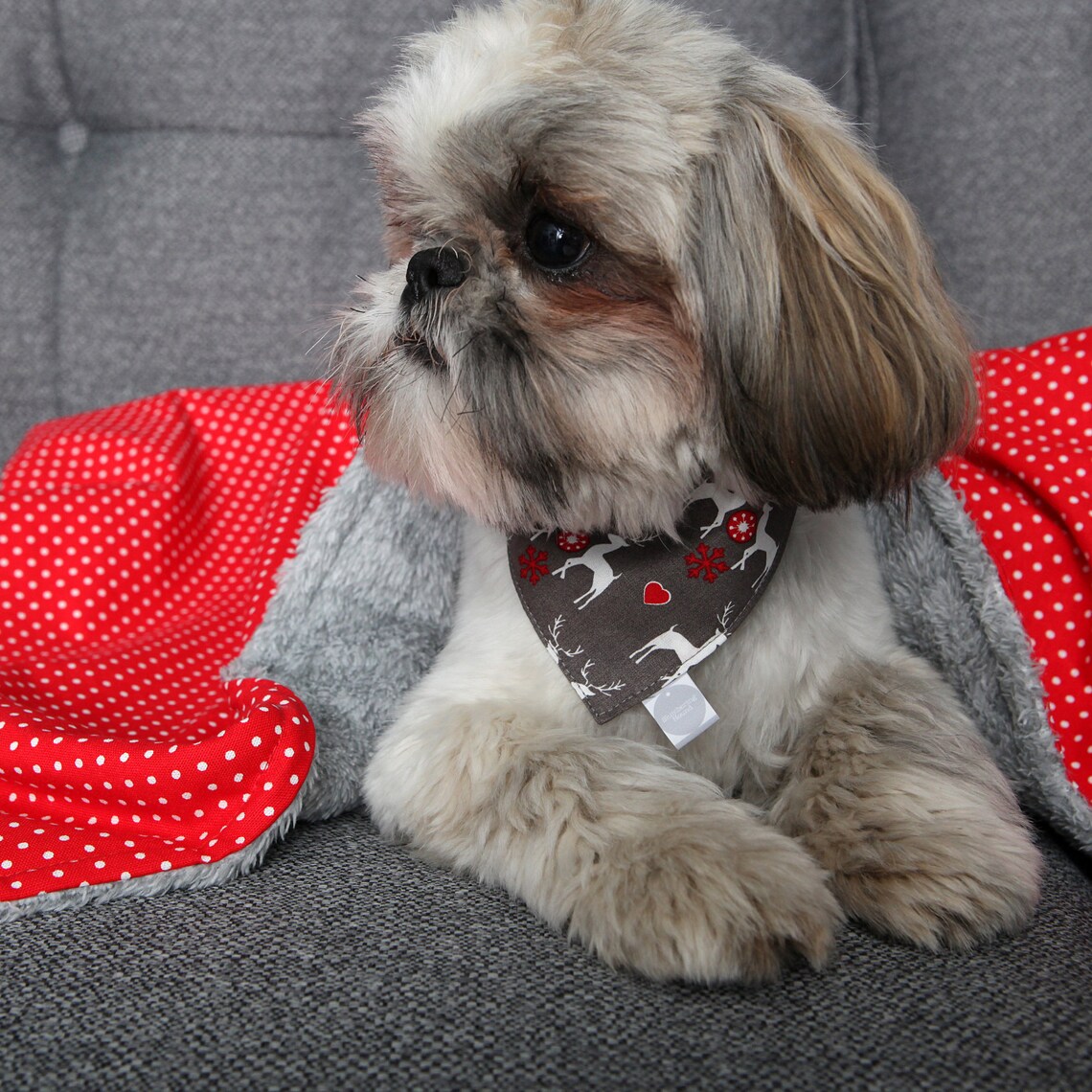 Dog Blanket Fleece Dog Blanket Dog Throw Personalised Dog - Etsy