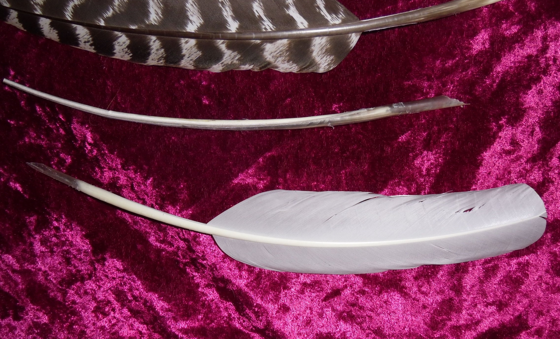 Handcut Feather Quill Dip Pen Cut to Order - Etsy