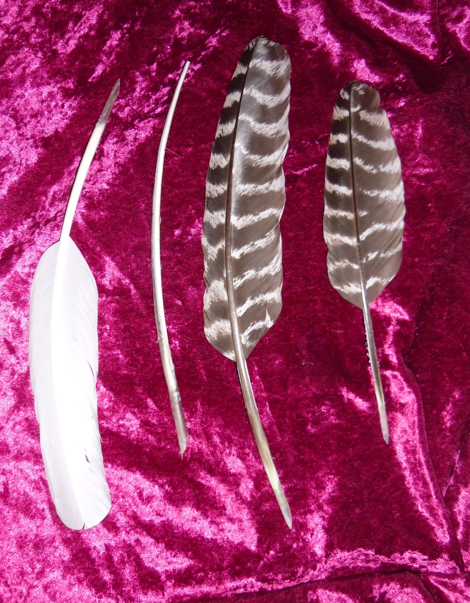 Handcut Feather Quill Dip Pen Cut to Order - Etsy