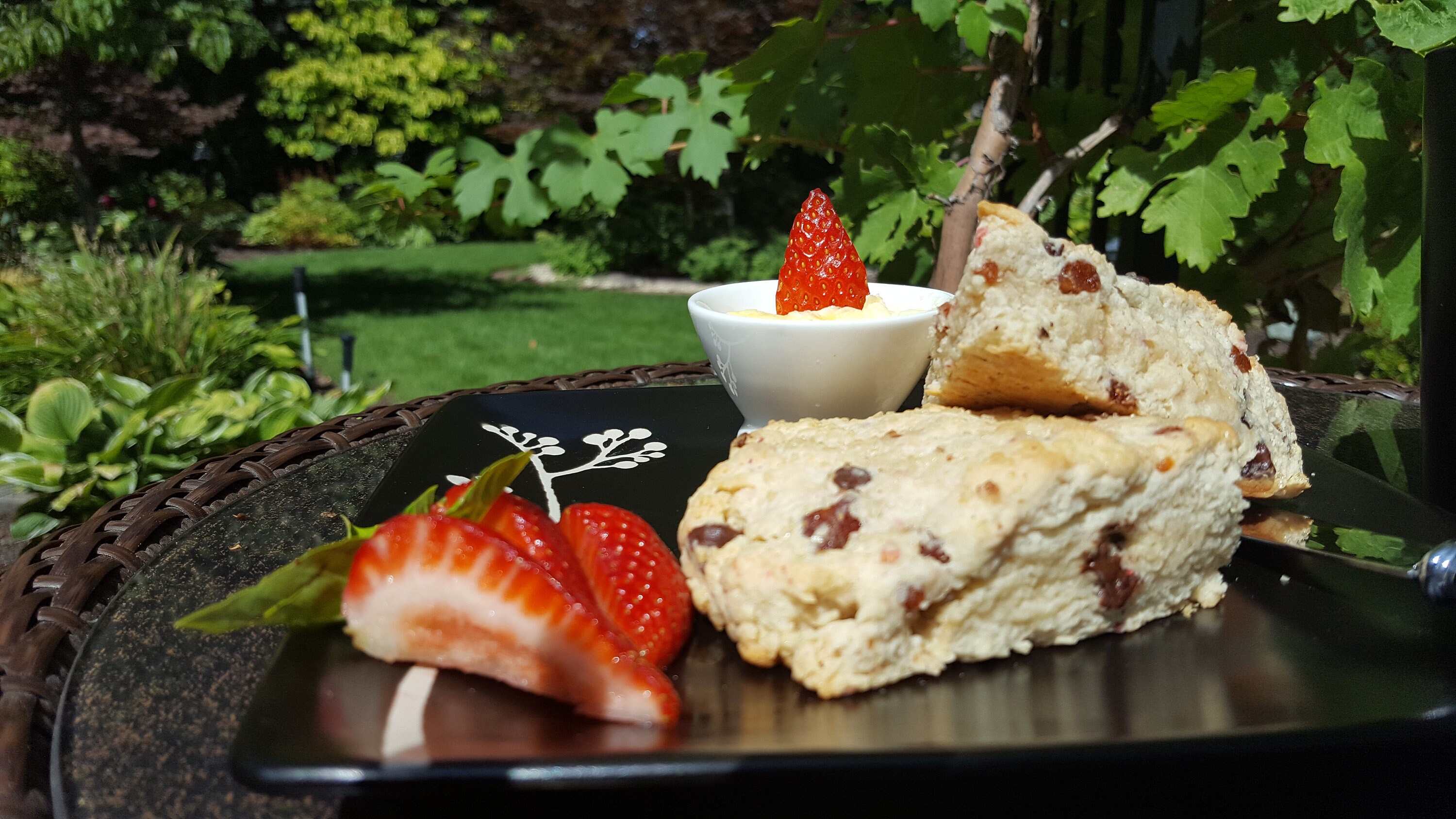 Papa Ray's Scone Lover's Trio Gift Box - Etsy