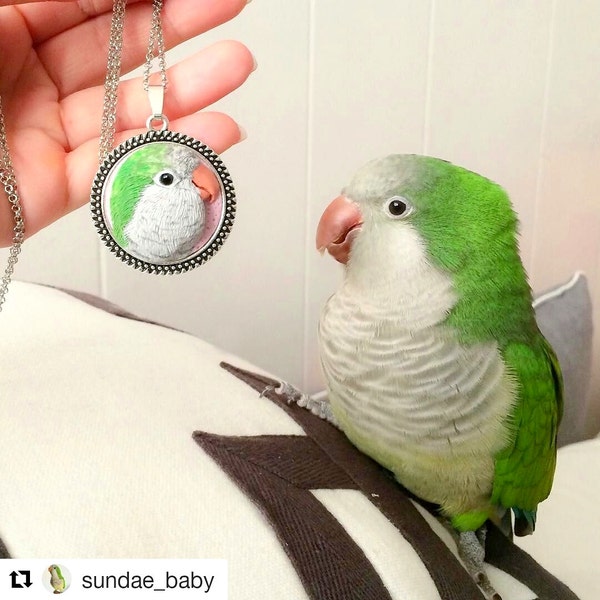 Parrot Jewelry - Etsy