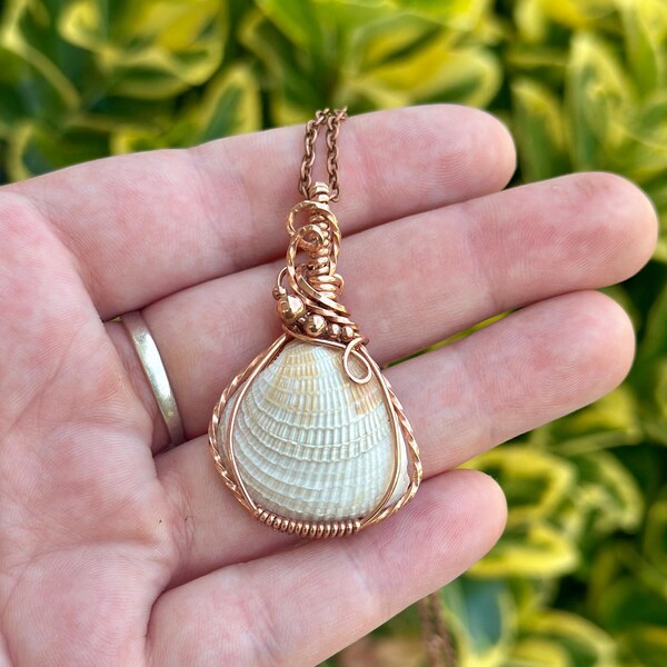 Sea Shell Wire Wrap - Etsy