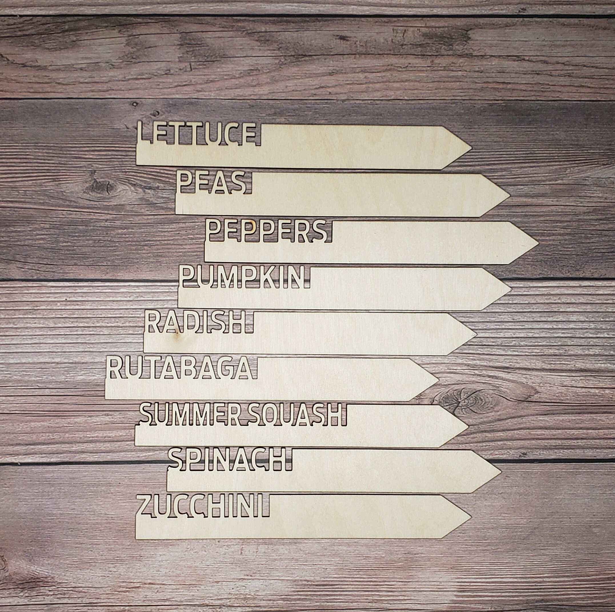 Fruit and Vegetable name Stakes / Plant Stakes / Garden | Etsy