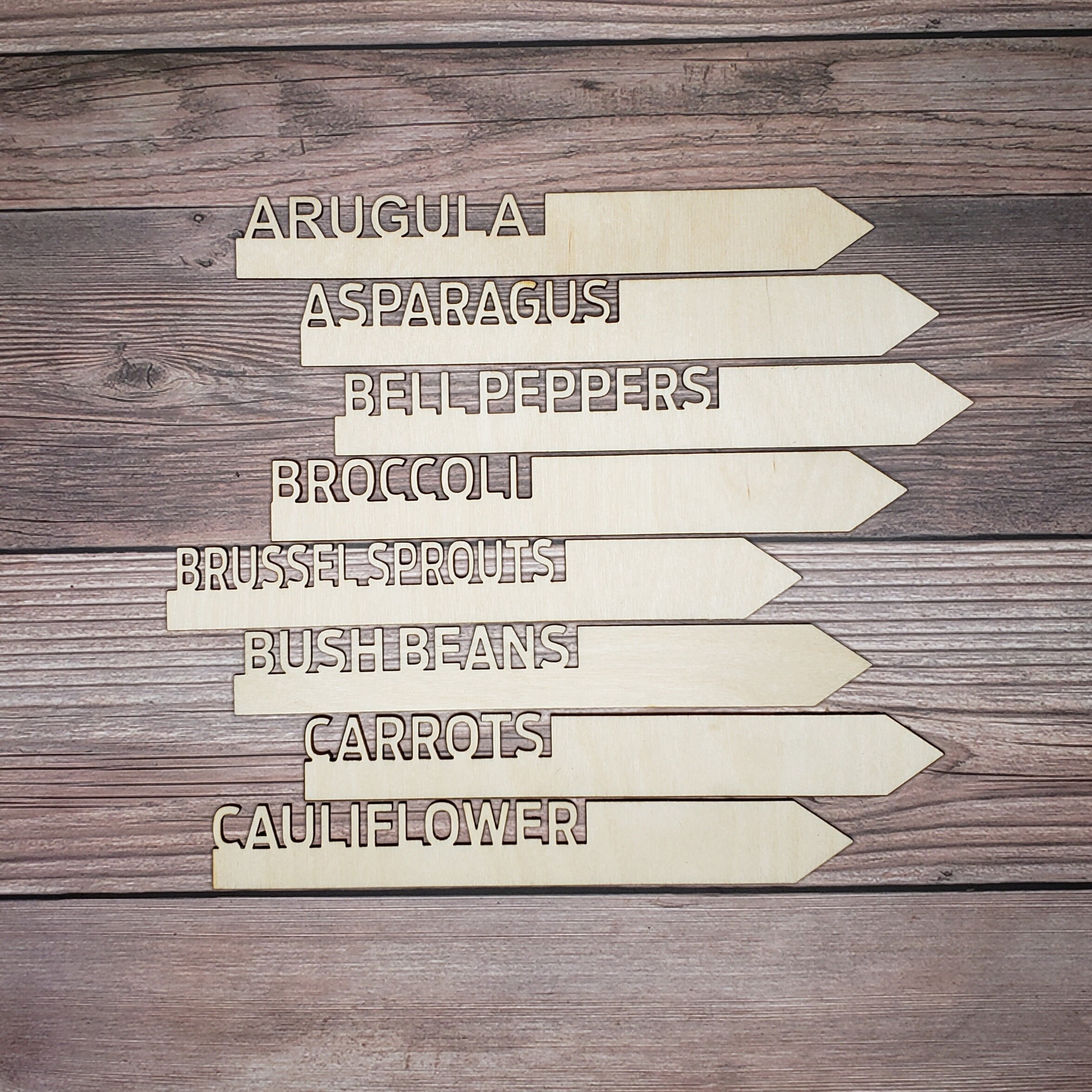 Fruit and Vegetable name Stakes / Plant Stakes / Garden | Etsy