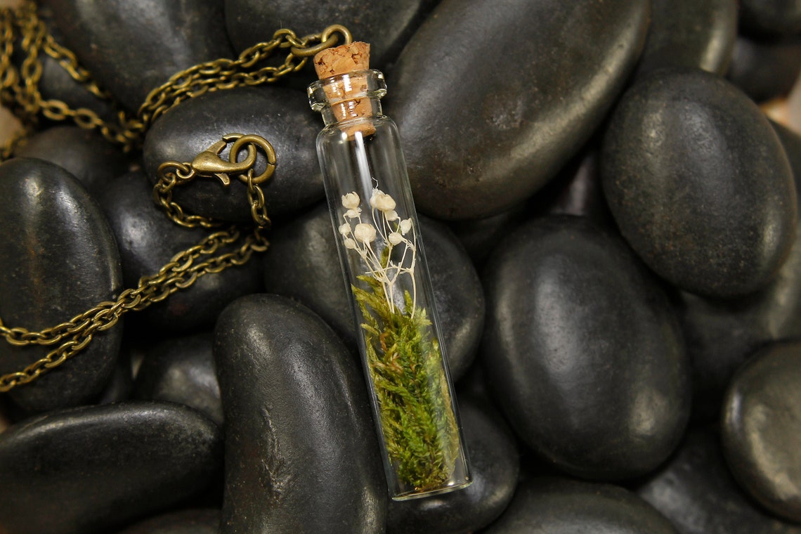 Terrarium Necklace, Glass Vial Necklace, Moss Necklace, Real Flower ...