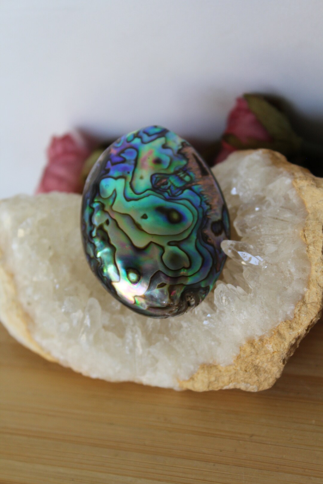 Beautiful Abalone Shells 3 Sizes From 25mm to 37mm Verticle Drilled ...