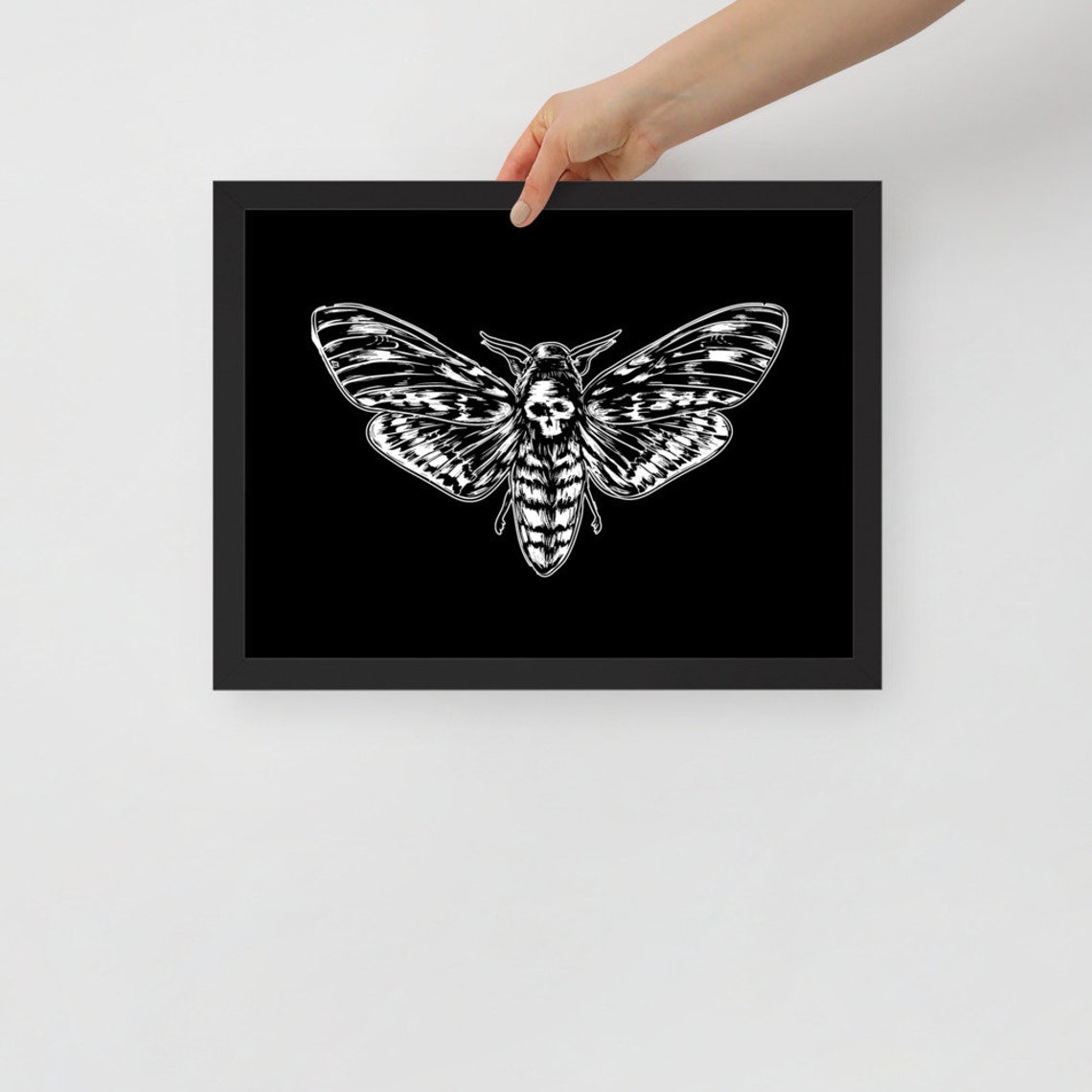 Moth Art print / Moth poster/ deaths head moth death moth | Etsy
