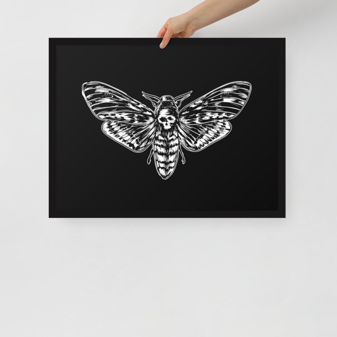 Moth Art print / Moth poster/ deaths head moth death moth | Etsy