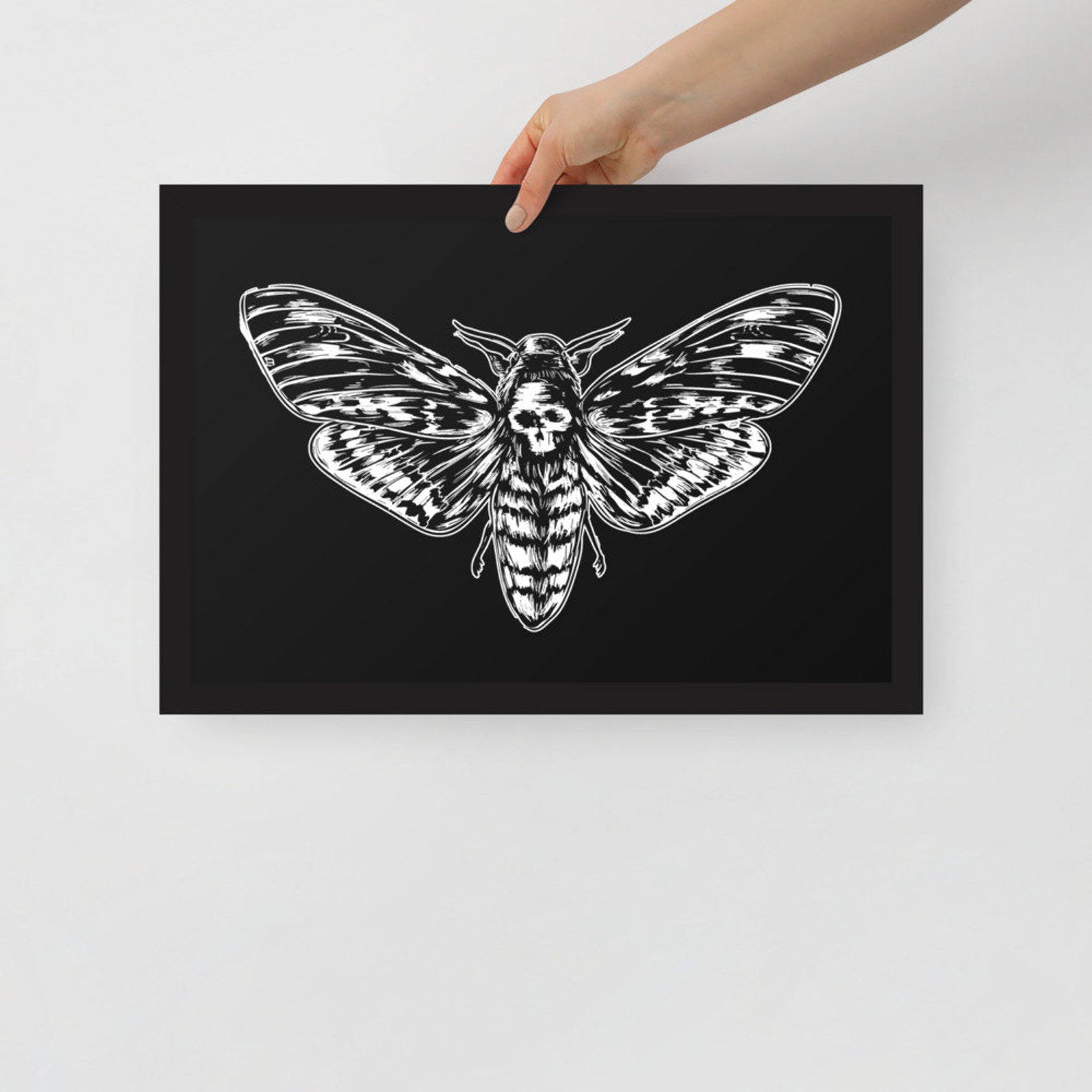 Moth Art print / Moth poster/ deaths head moth death moth | Etsy