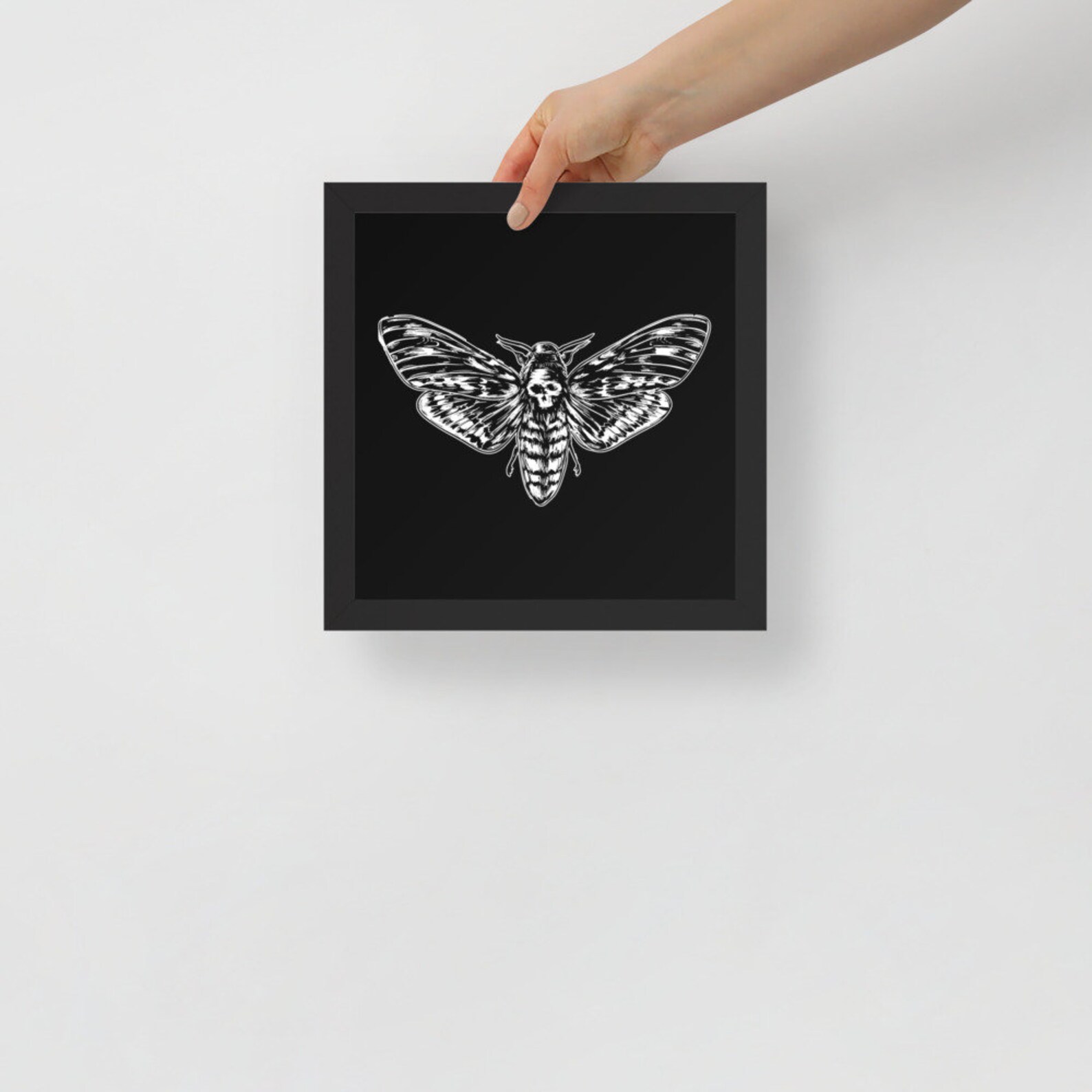 Moth Art print / Moth poster/ deaths head moth death moth | Etsy