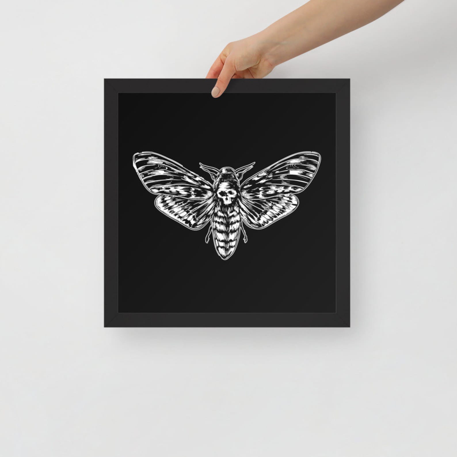 Moth Art print / Moth poster/ deaths head moth death moth | Etsy