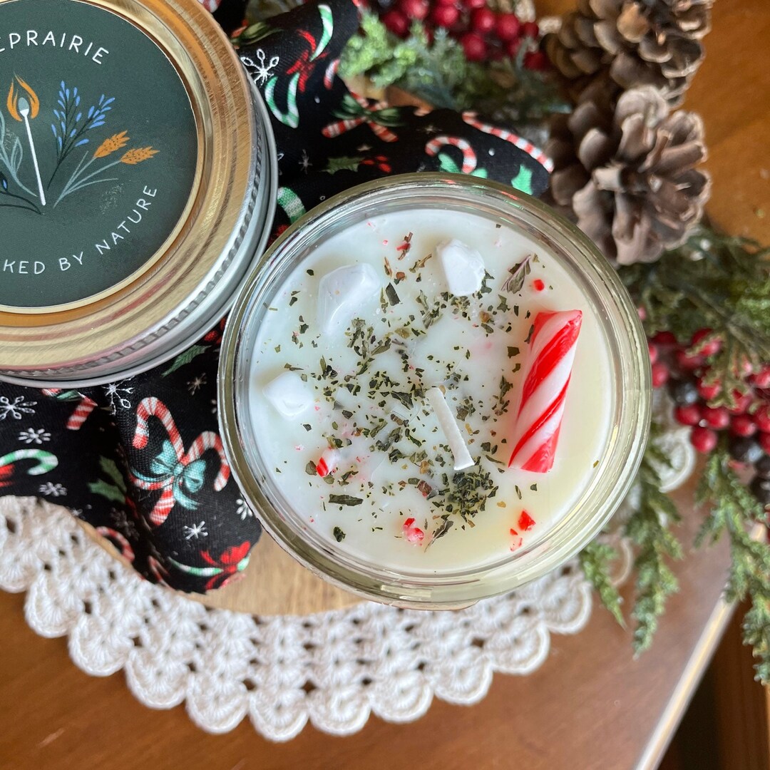 FROLIC Peppermint Cocoa Scented Intention Candles, Wax Melts ...