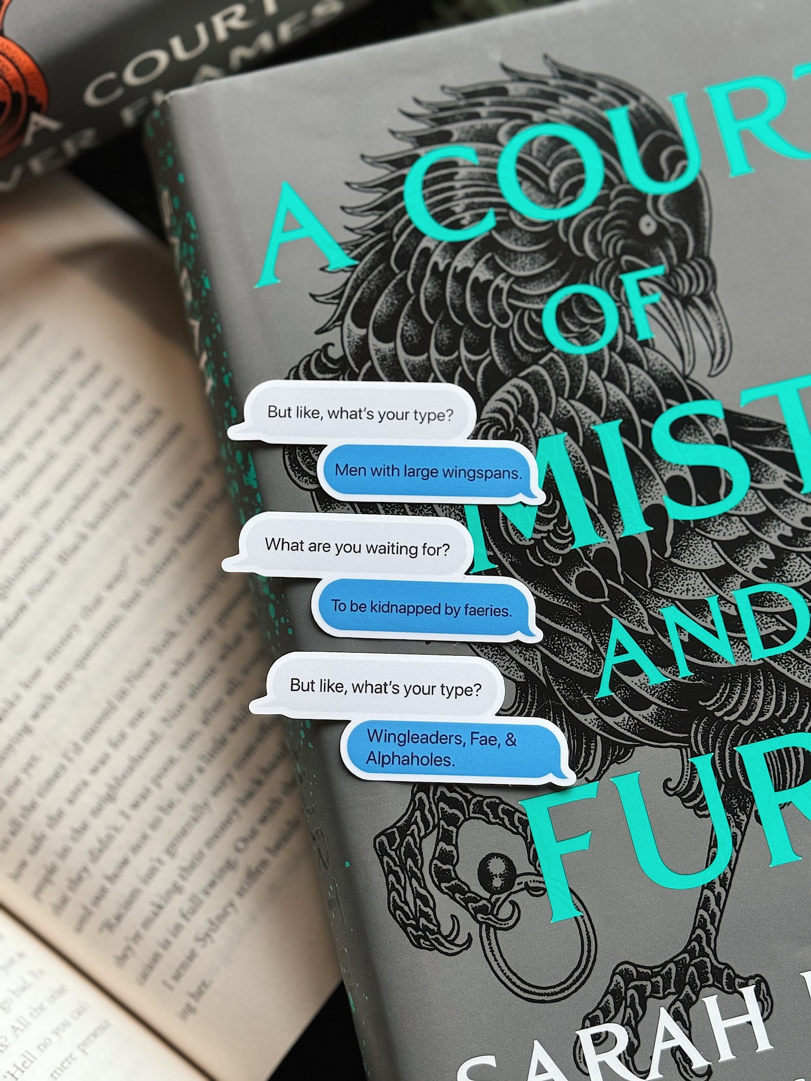 Wingleaders Fae Alphaholes Sticker: Booktok Romantasy Vinyl Decal - Etsy