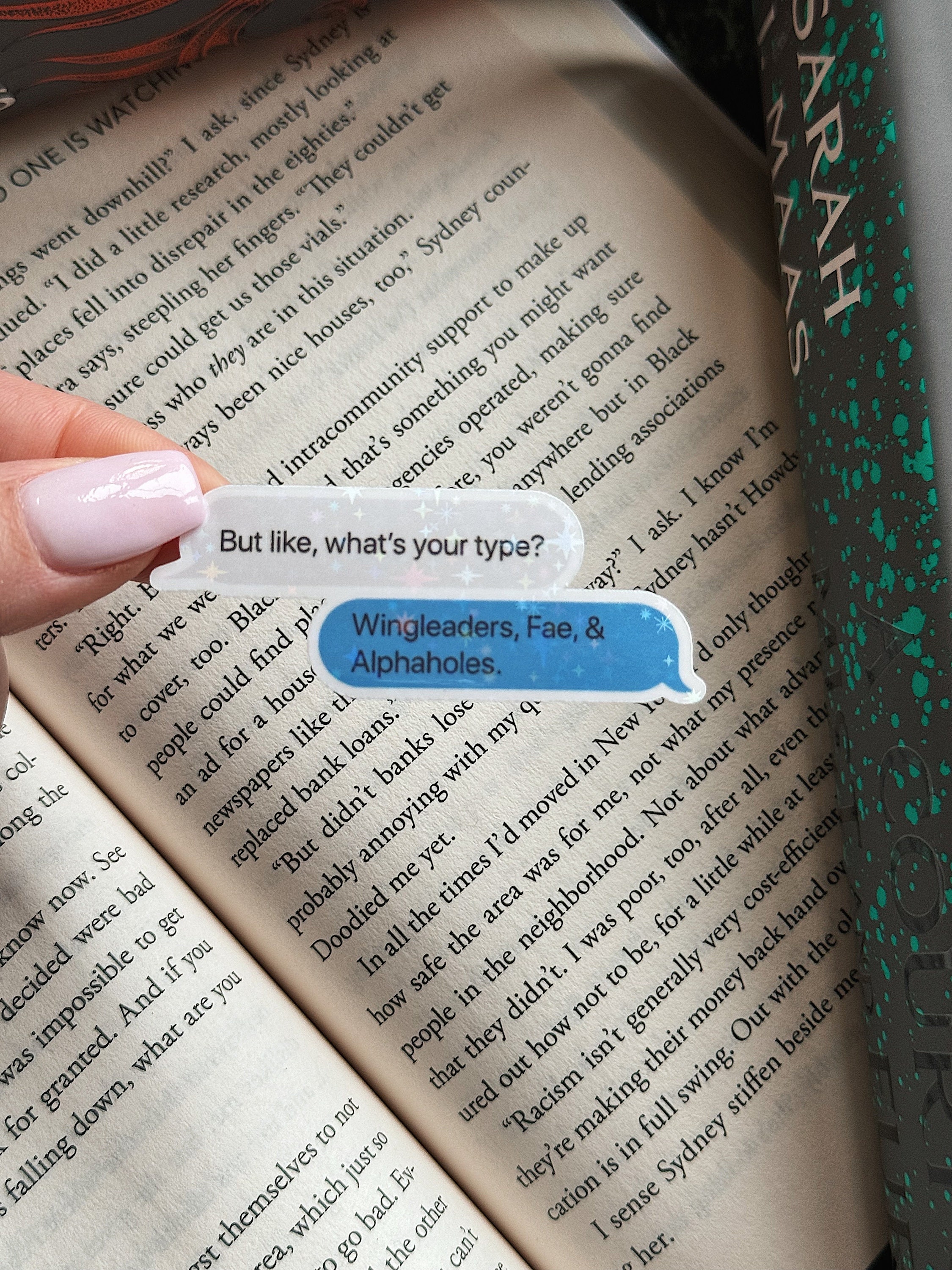 Wingleaders Fae Alphaholes Sticker: Booktok Romantasy Vinyl Decal - Etsy