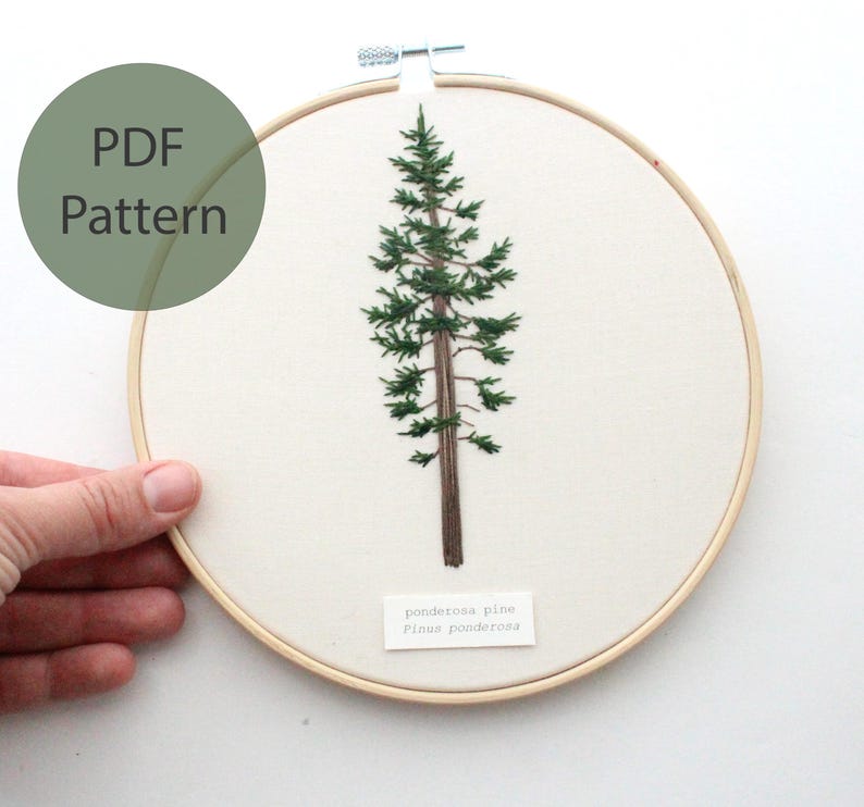 Ponderosa Pine Embroidery Pattern, Tree Thread Painting (PDF) - Etsy