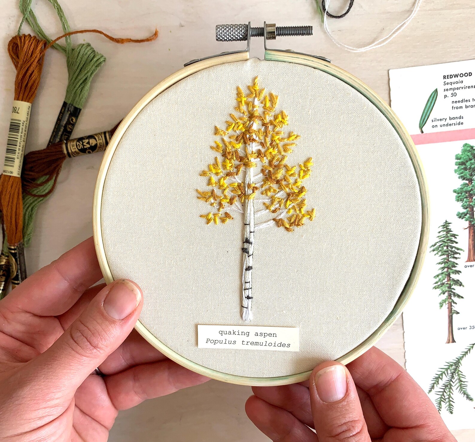 Quaking Aspen Embroidery Pattern, Tree Thread Painting (PDF) - Etsy