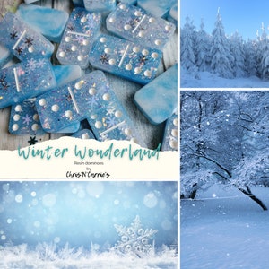 Winter Wonderland Domino Set by Chris'n'carrie's, Snowflake Dominoes ...