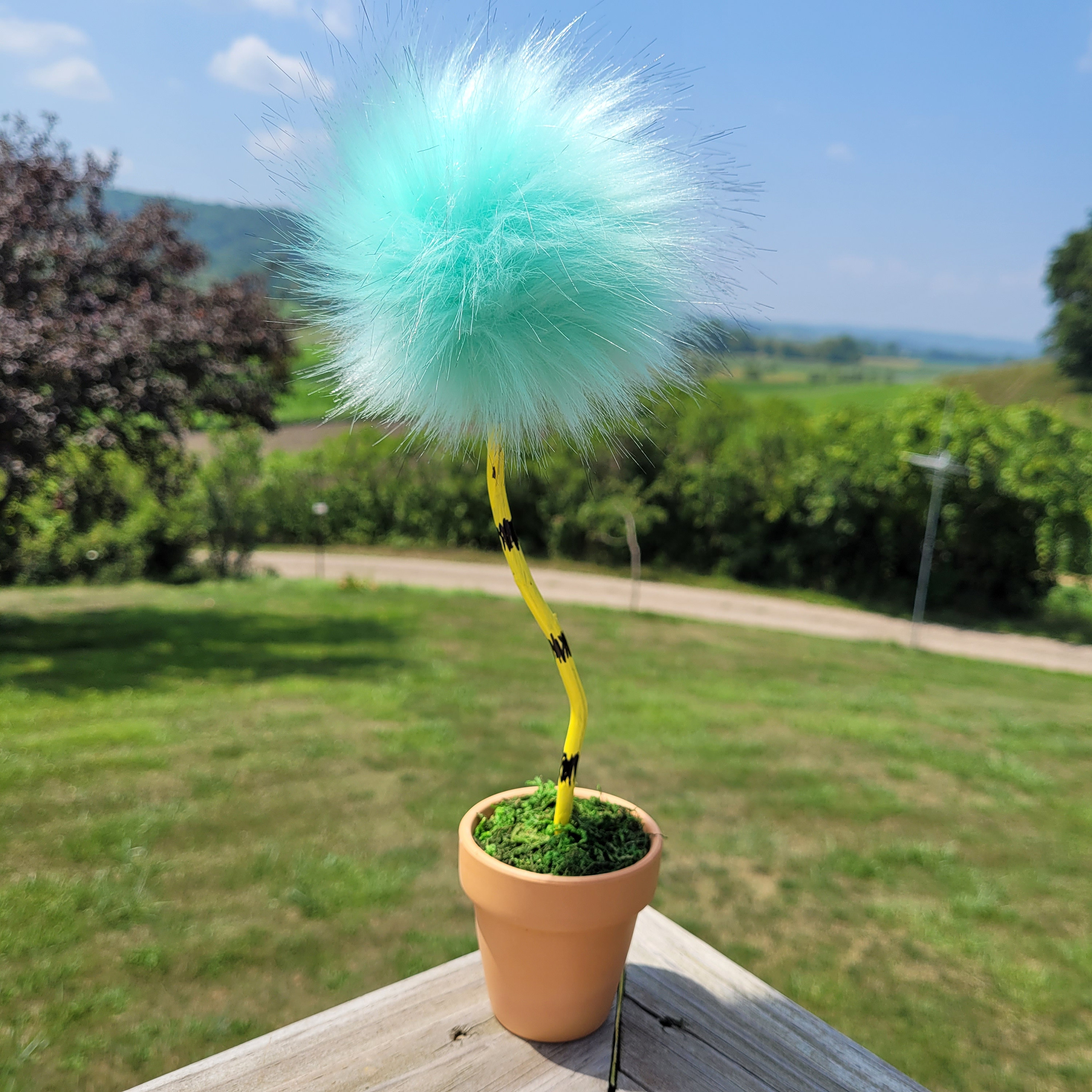 Real Truffula Tree