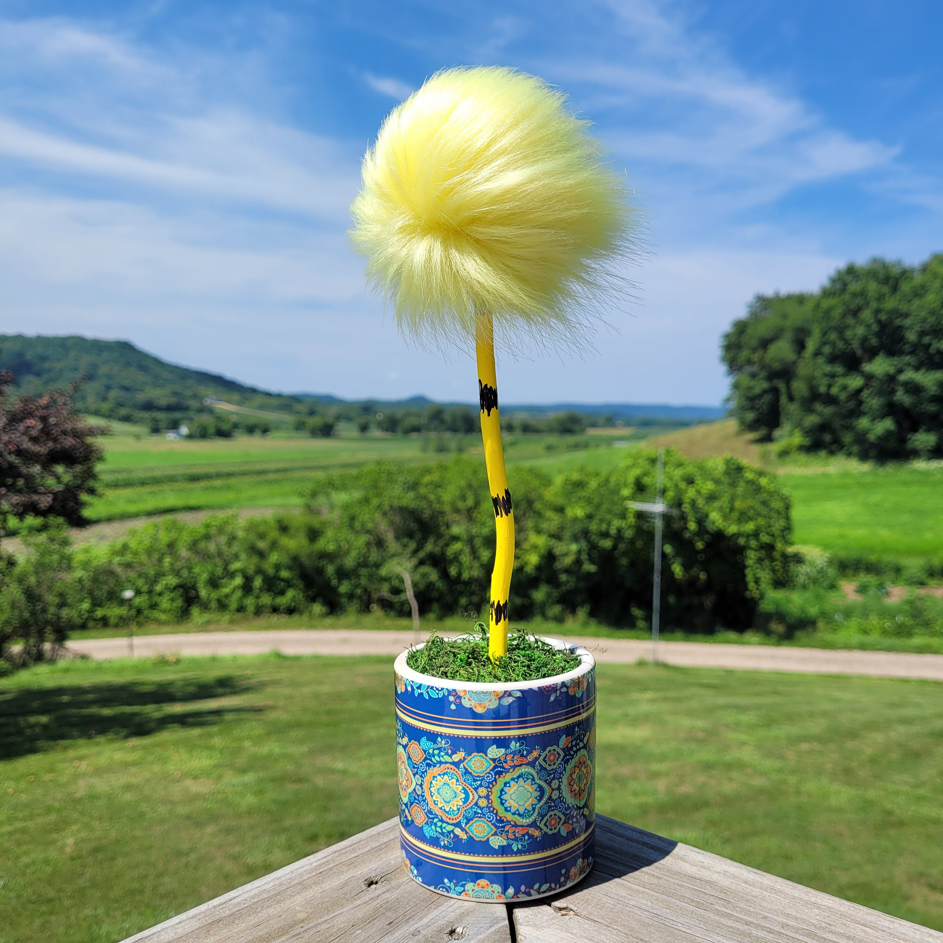 Real Truffula Tree Seeds