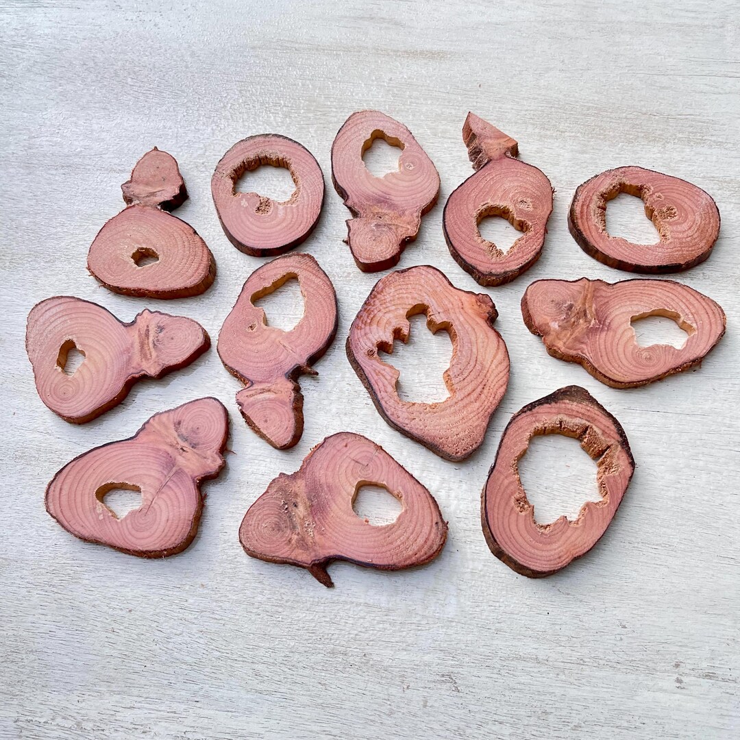 Sliced Pine Root for Wood Crafting, Epoxy Projects, Jewelry Making ...