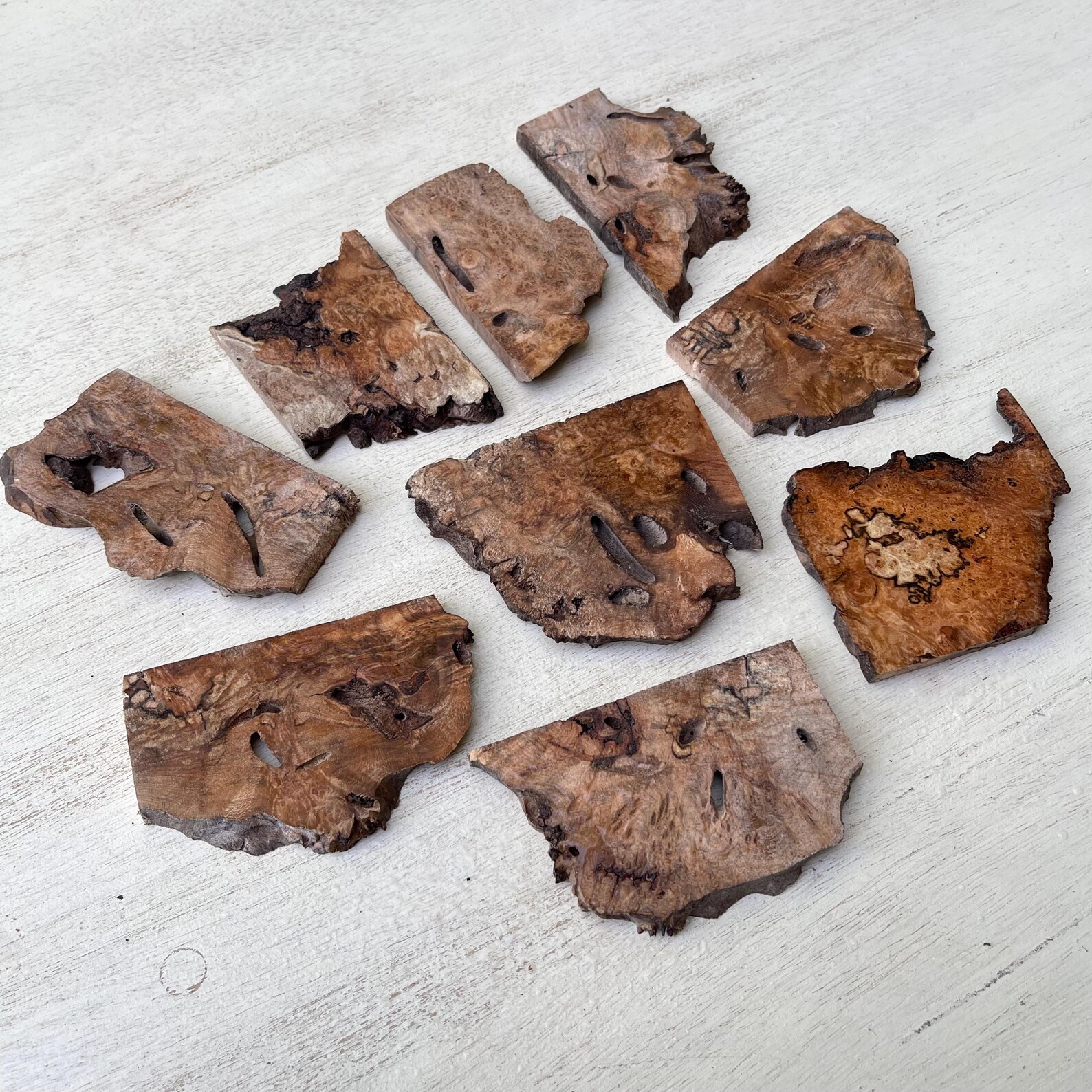 Maple Burl Slice Assortment for Epoxy Resin Projects, Jewelry Making ...