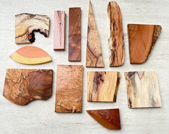 Burl Wood for Crafting-red Oak Burl Wood Assortment for Jewelry Making ...