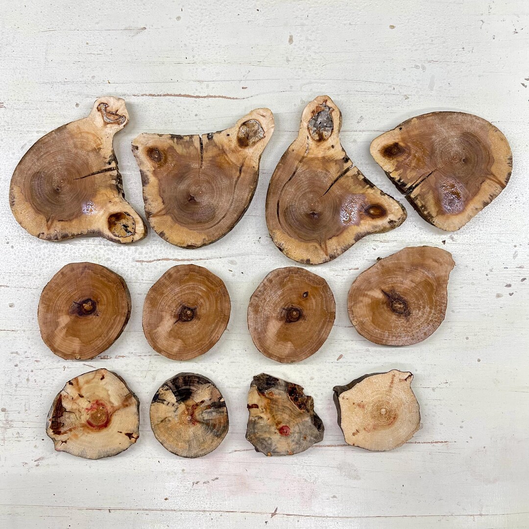 Wood Slices-assorted Hardwood Slices for Wall Art, Epoxy Resin Projects ...