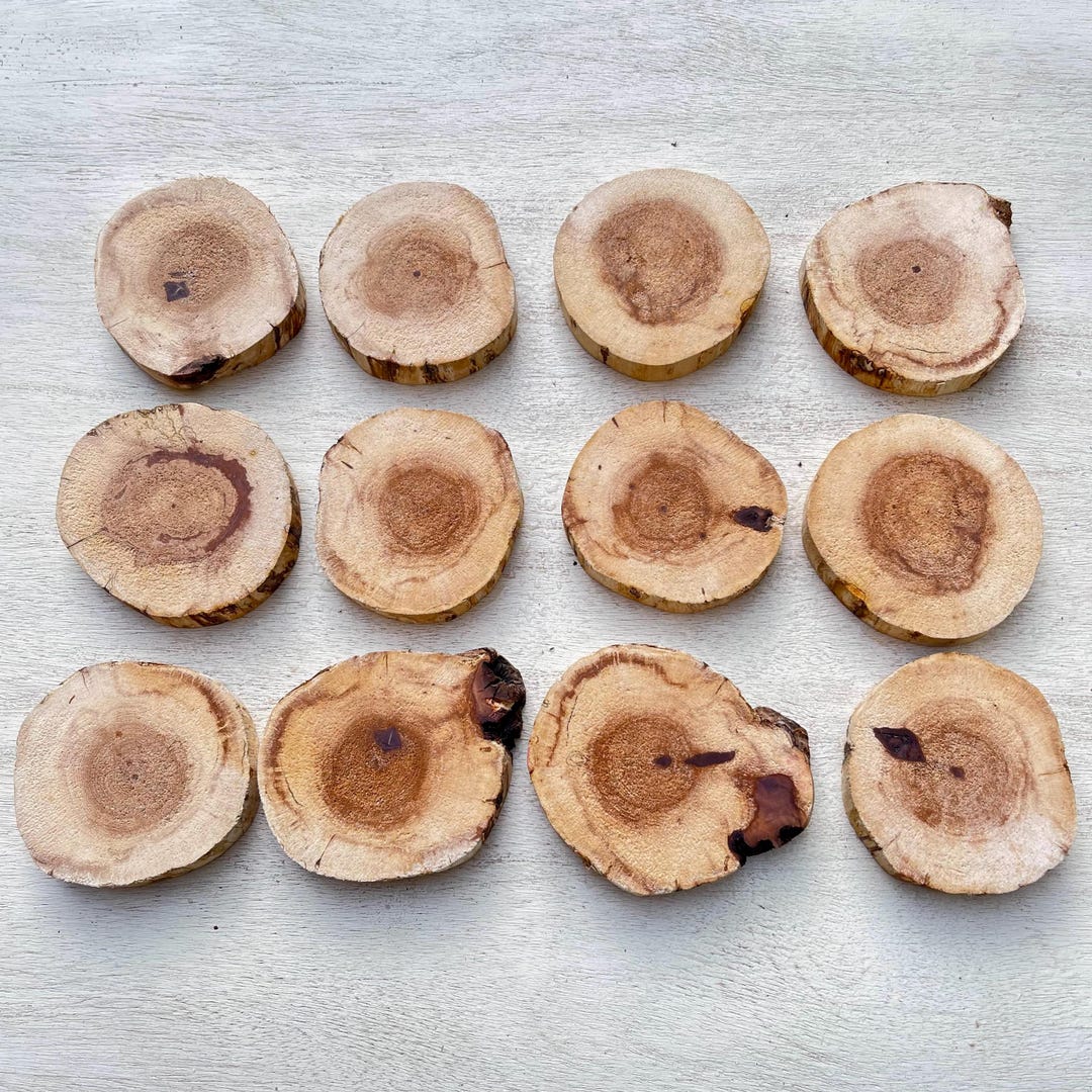 Wood Slices-spalted Hickory Slices for Wall Art, Epoxy Resin Projects ...