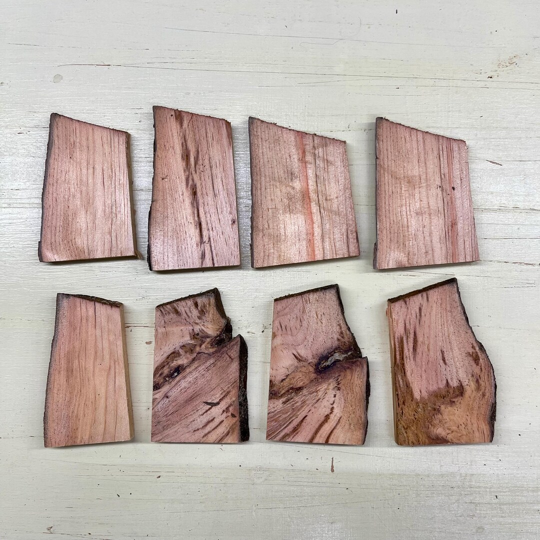Sliced Pine Root for Wood Crafting, Epoxy Projects, Jewelry Making ...