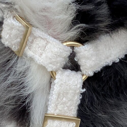 White TEDDY Soft Harness for Small and Big Dogs or Puppies - Etsy