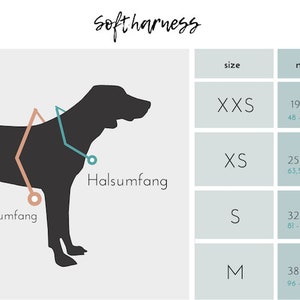 Dog Soft Harness EDEN DAWN Designer Piece With Rose Gold - Etsy