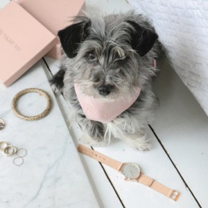 Dog Soft Harness POWDER Designer Piece With Rose Gold - Etsy