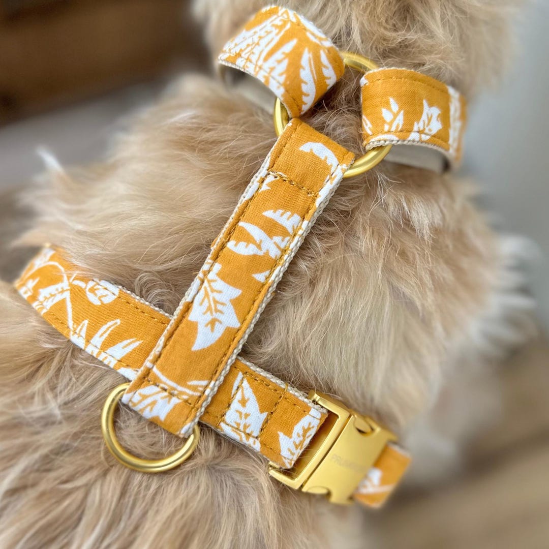 GOA Curry Dog Harness for Small and Big Dogs or Puppies - Gold Hardware ...