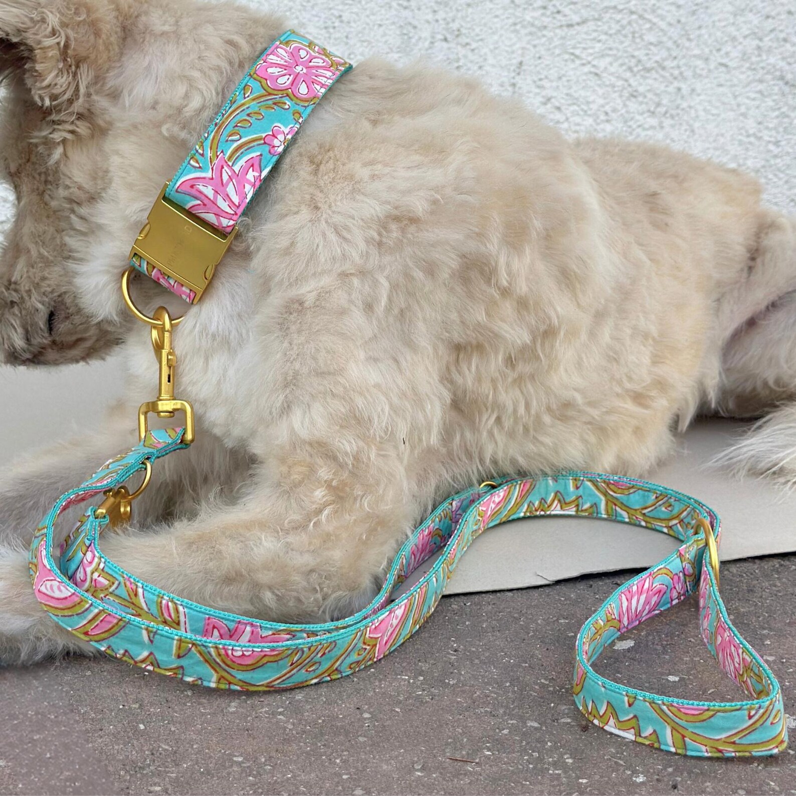 GOA Aqua Dog Collar for Small to Big Dogs & Puppies - Handmade in ...