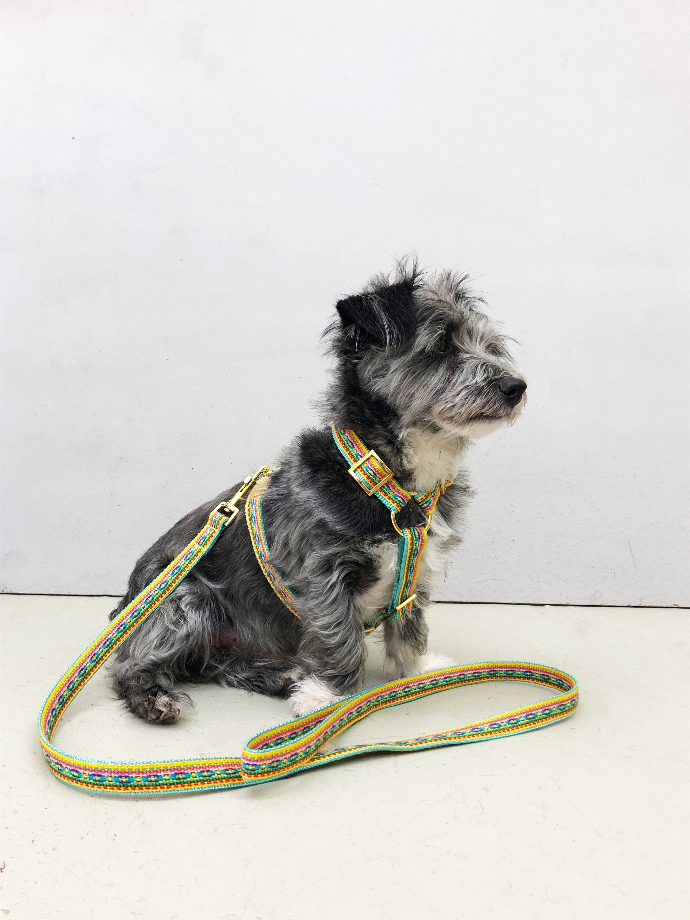 Designer Dog Harness IBIZA Yellow - Designer Dog Harness With Boho ...